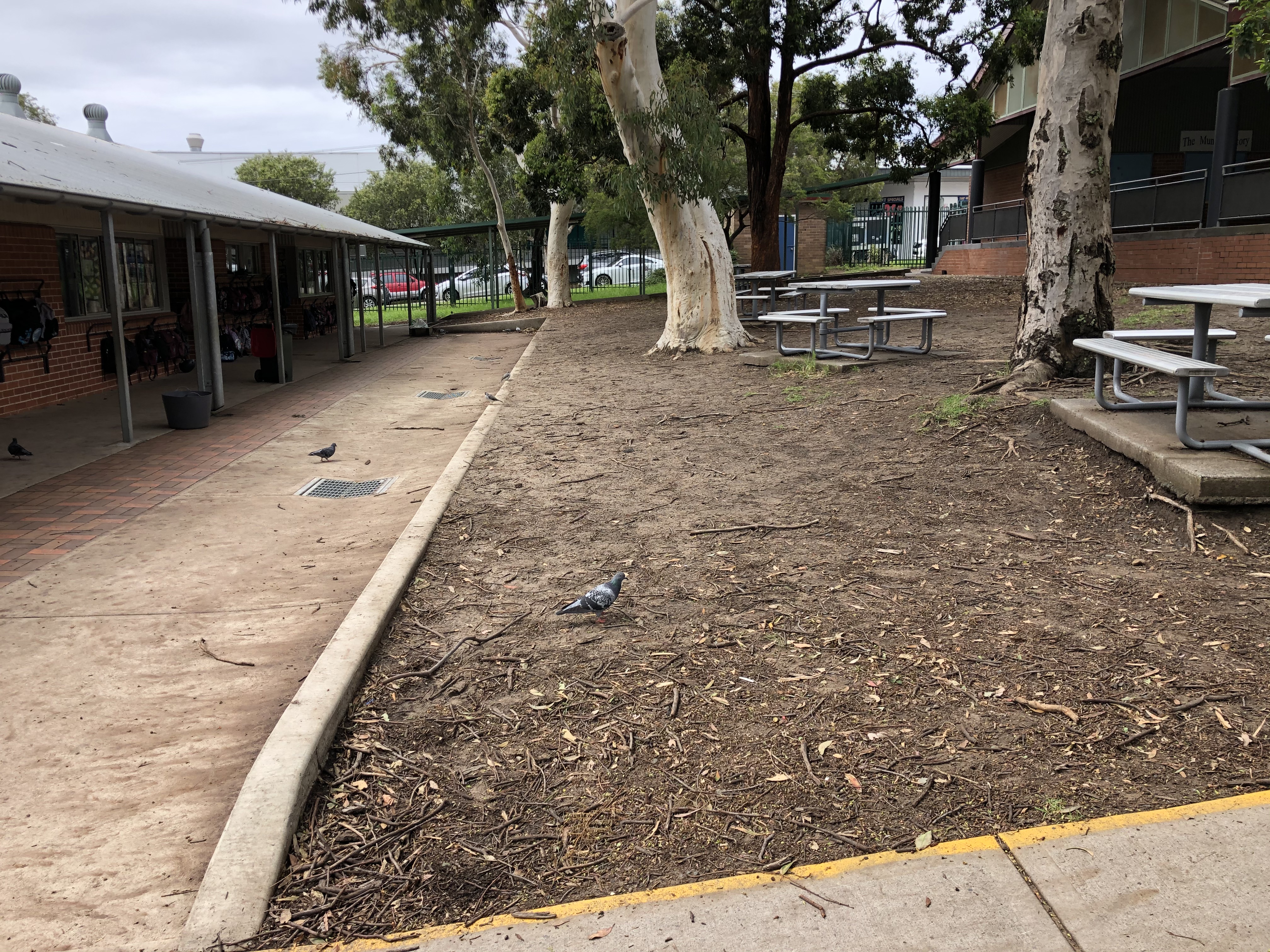 Engadine Public School